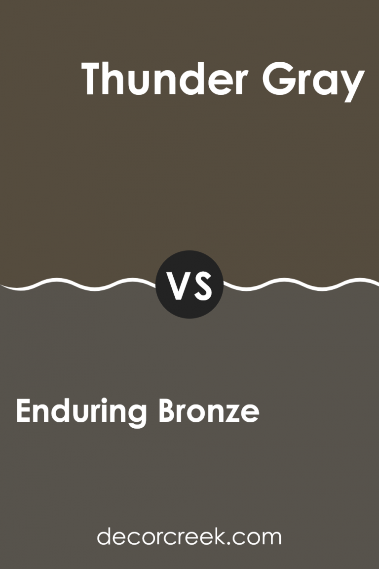 Enduring Bronze SW 7055 Paint Color by Sherwin Williams - DecorCreek