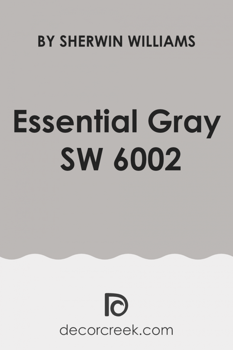 Essential Gray SW 6002 Paint Color by Sherwin Williams - DecorCreek