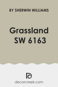Grassland SW 6163 Paint Color by Sherwin Williams - DecorCreek