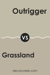 Grassland SW 6163 Paint Color by Sherwin Williams - DecorCreek