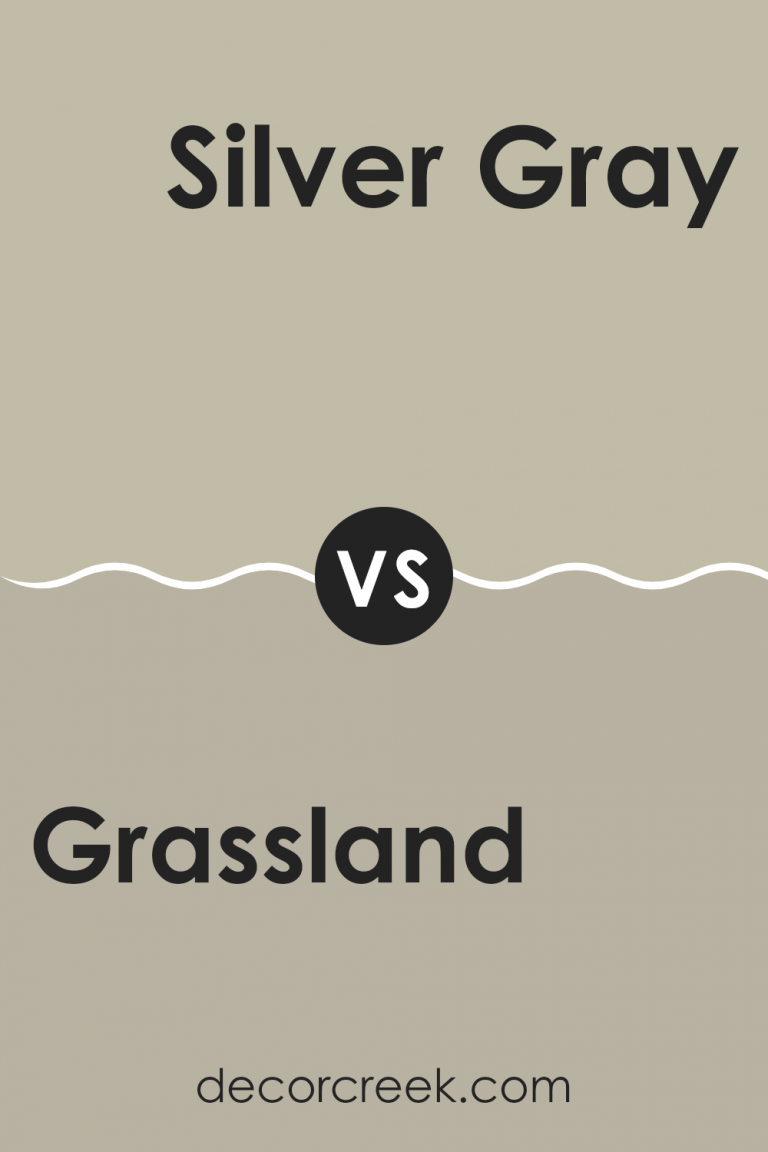 Grassland SW 6163 Paint Color by Sherwin Williams - DecorCreek