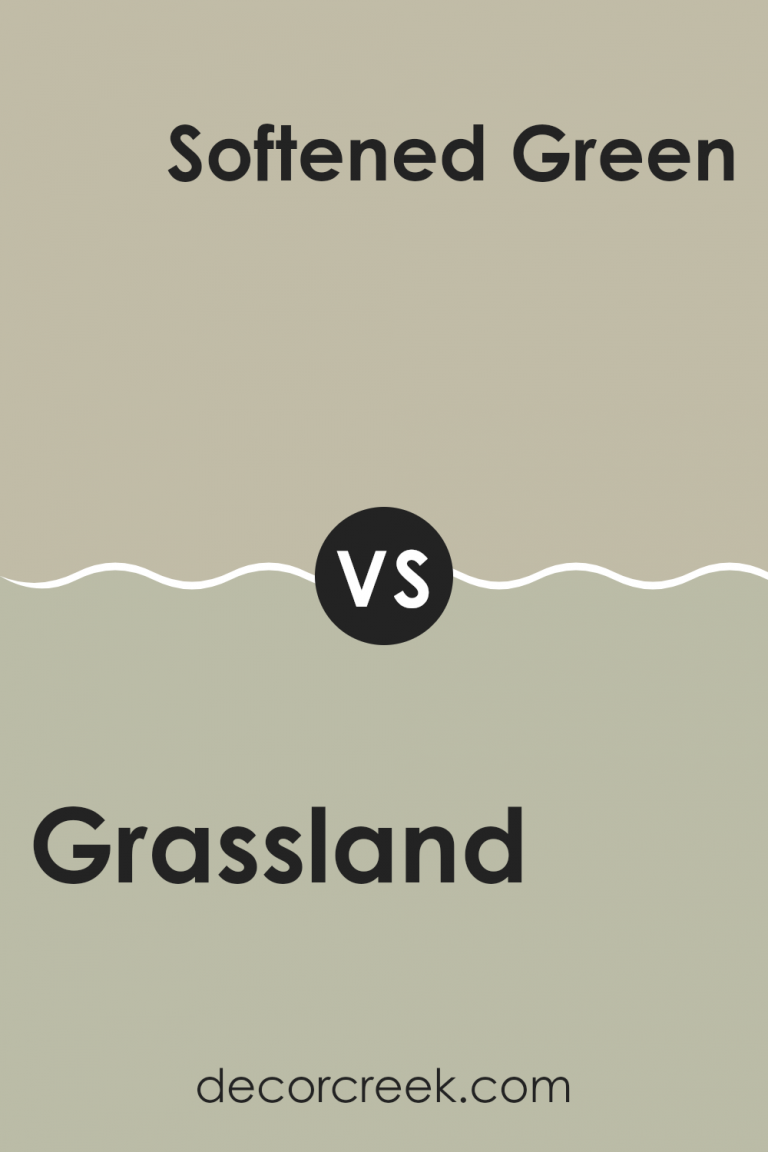 Grassland SW 6163 Paint Color by Sherwin Williams - DecorCreek