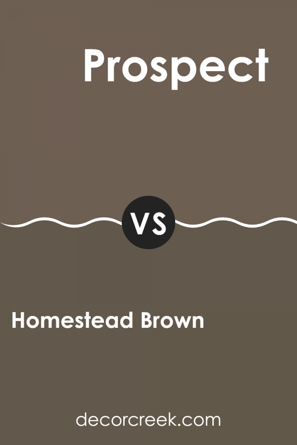 Homestead Brown SW 7515 Paint Color by Sherwin Williams - DecorCreek