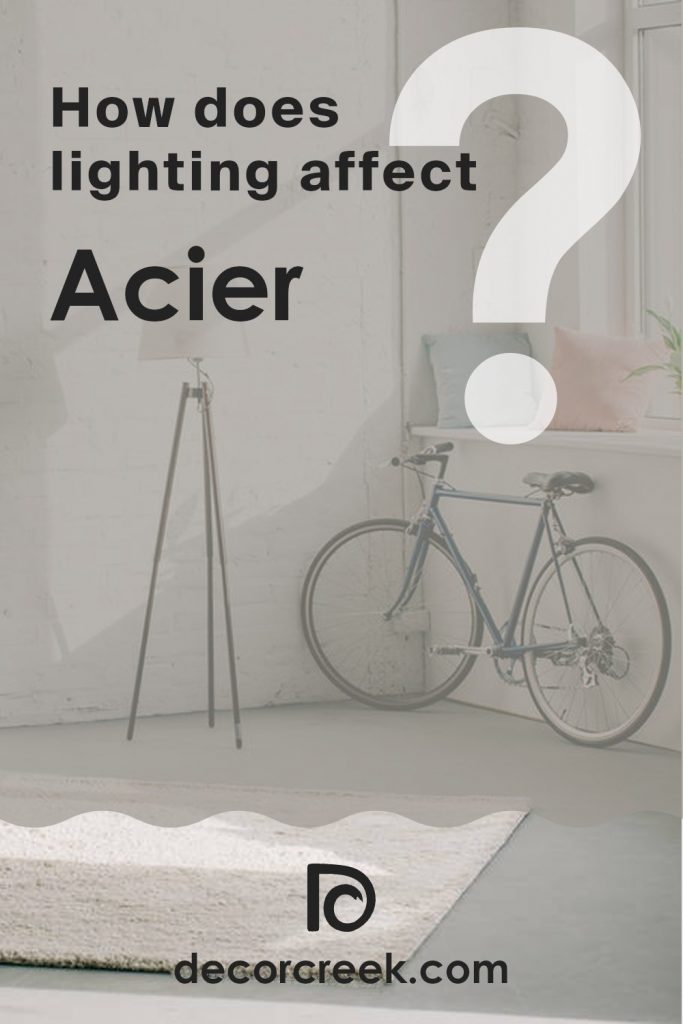 Acier SW 9170 Paint Color by Sherwin Williams - DecorCreek