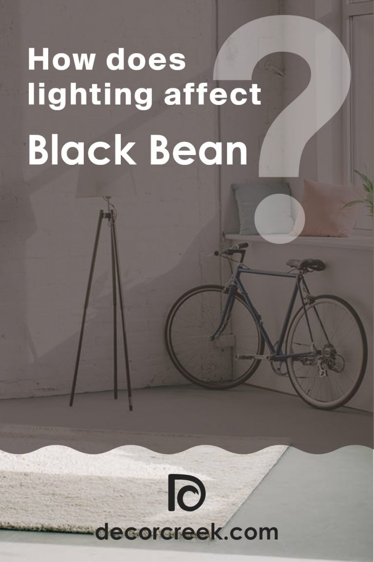 Black Bean SW 6006 Paint Color by Sherwin Williams - DecorCreek