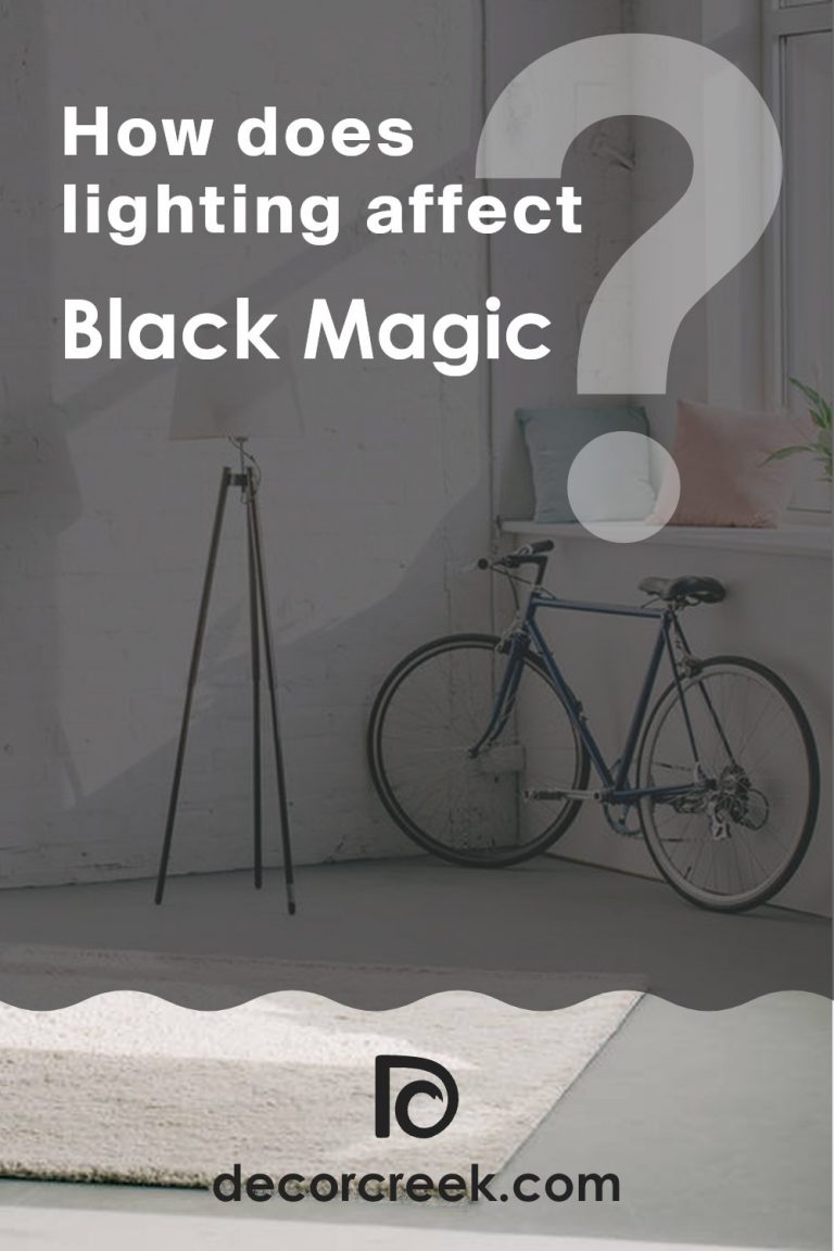 Black Magic SW 6991 Paint Color by Sherwin Williams - DecorCreek