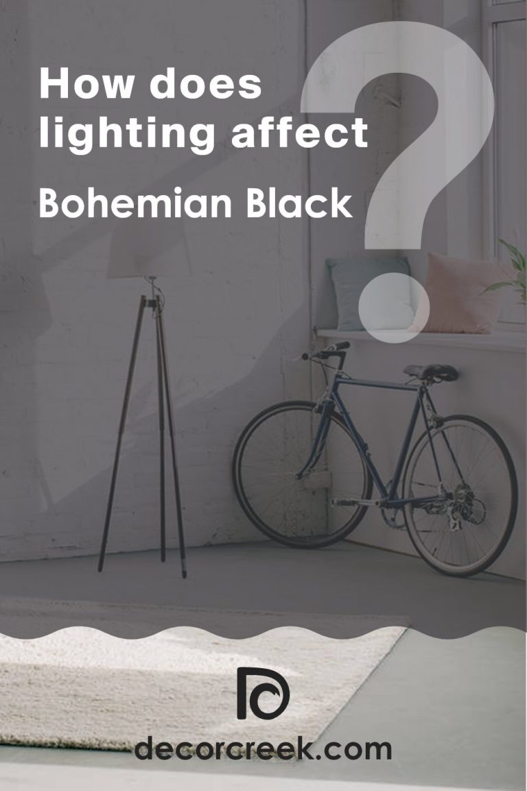 Bohemian Black SW 6988 Paint Color by Sherwin Williams - DecorCreek