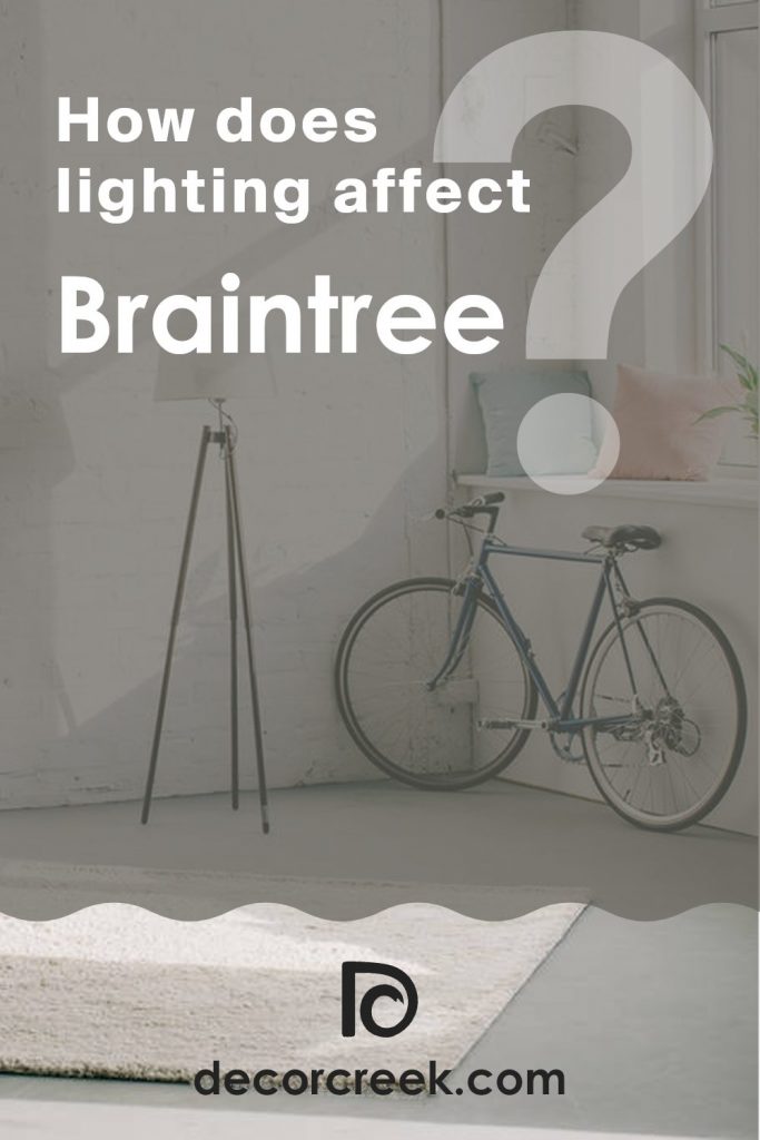 Braintree SW 9595 Paint Color by Sherwin Williams - DecorCreek