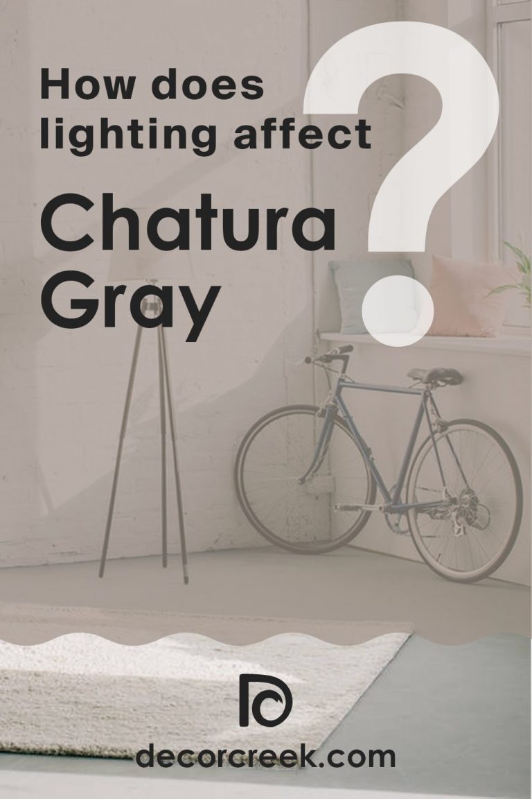Chatura Gray SW 9169 Paint Color by Sherwin Williams - DecorCreek