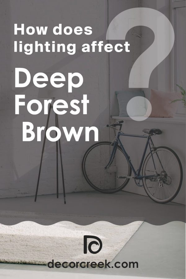 Deep Forest Brown SW 9175 Paint Color by Sherwin Williams - DecorCreek