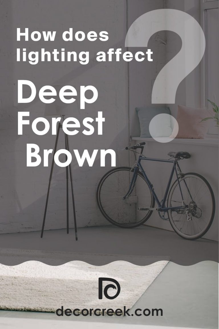 Deep Forest Brown SW 9175 Paint Color by Sherwin Williams - DecorCreek