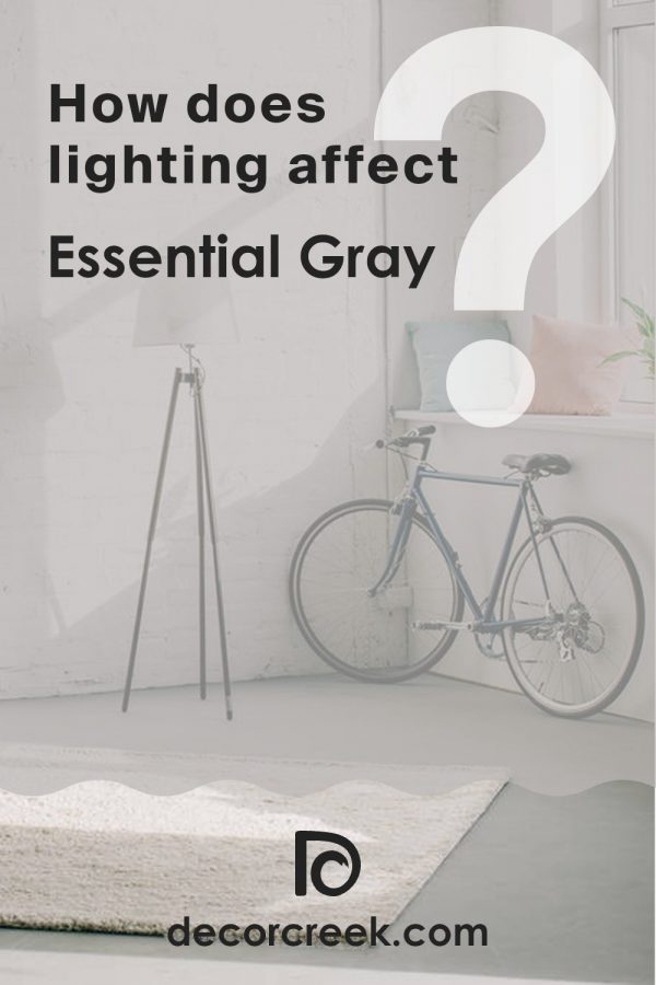 Essential Gray SW 6002 Paint Color by Sherwin Williams - DecorCreek