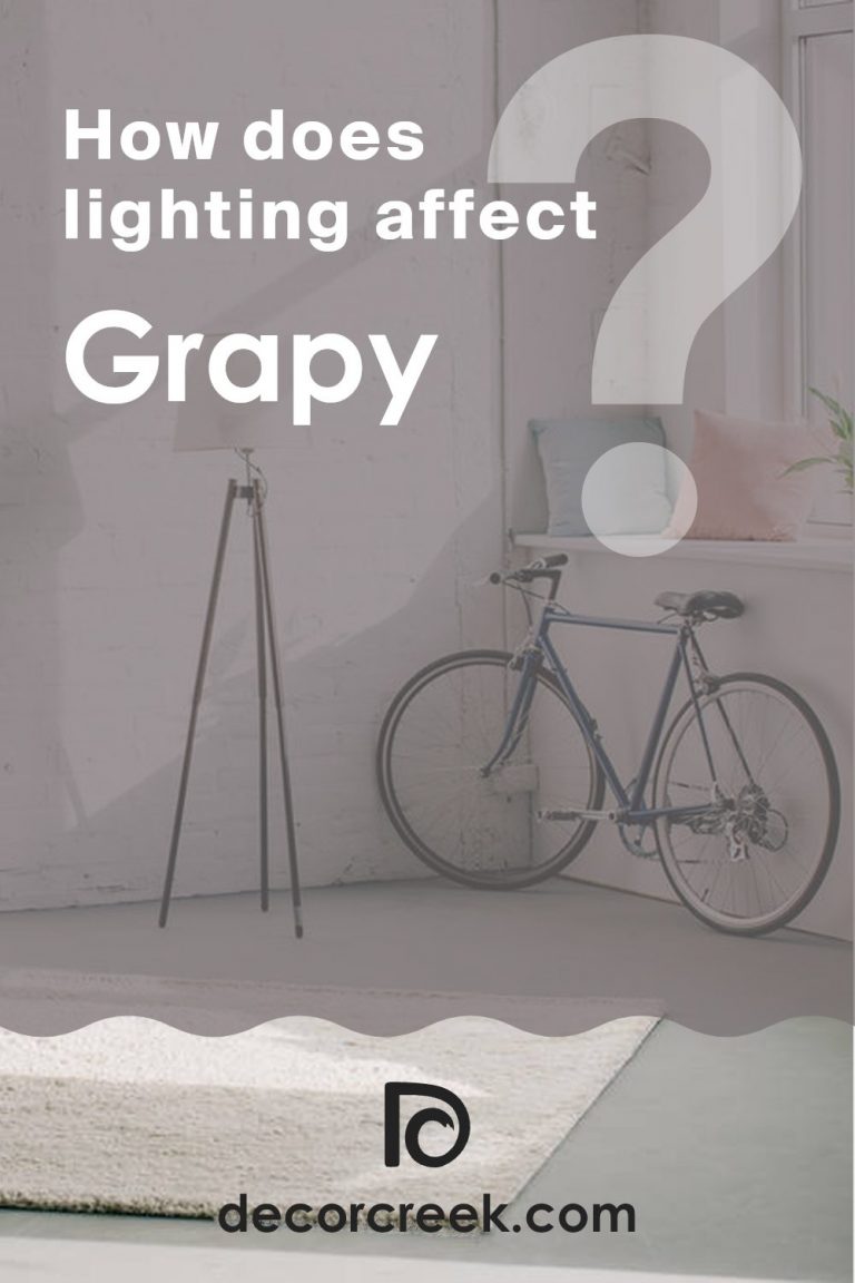 Grapy SW 7629 Paint Color by Sherwin Williams - DecorCreek