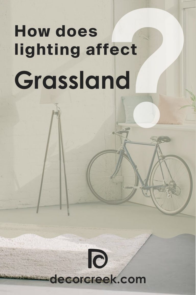 Grassland SW 6163 Paint Color by Sherwin Williams - DecorCreek