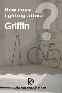 Griffin SW 7026 Paint Color by Sherwin Williams - DecorCreek