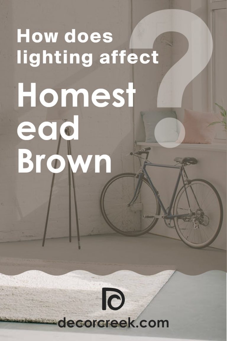 Homestead Brown SW 7515 Paint Color by Sherwin Williams - DecorCreek