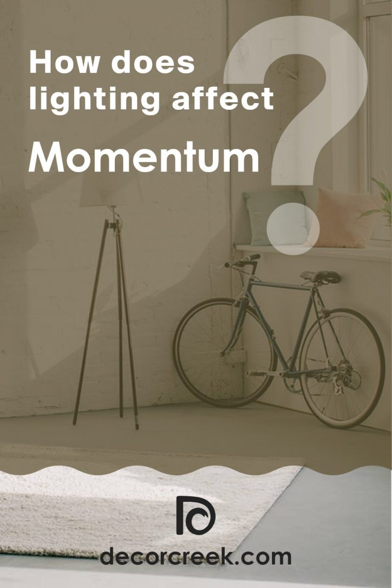 Momentum SW 9530 Paint Color by Sherwin Williams - DecorCreek