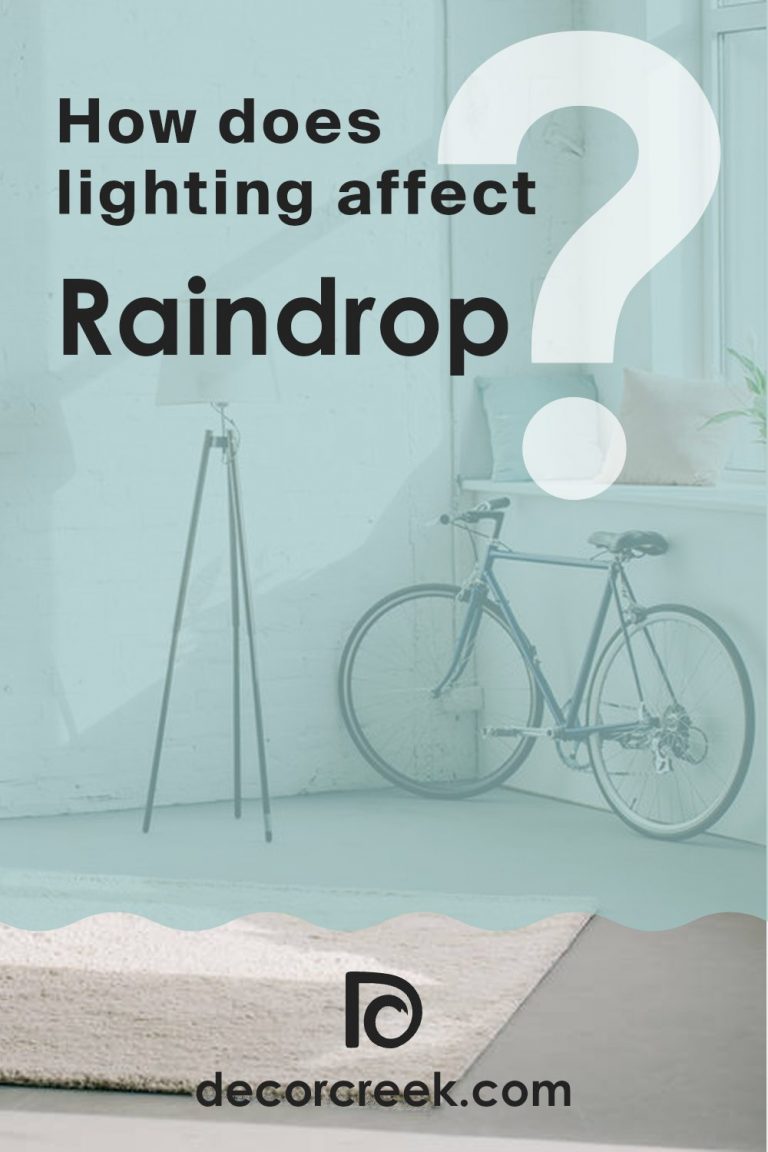 Raindrop SW 6485 Paint Color by Sherwin Williams - DecorCreek