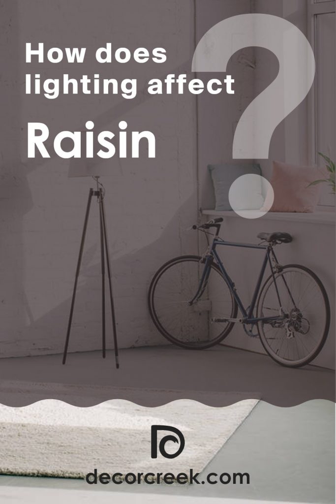 Raisin SW 7630 Paint Color by Sherwin Williams - DecorCreek