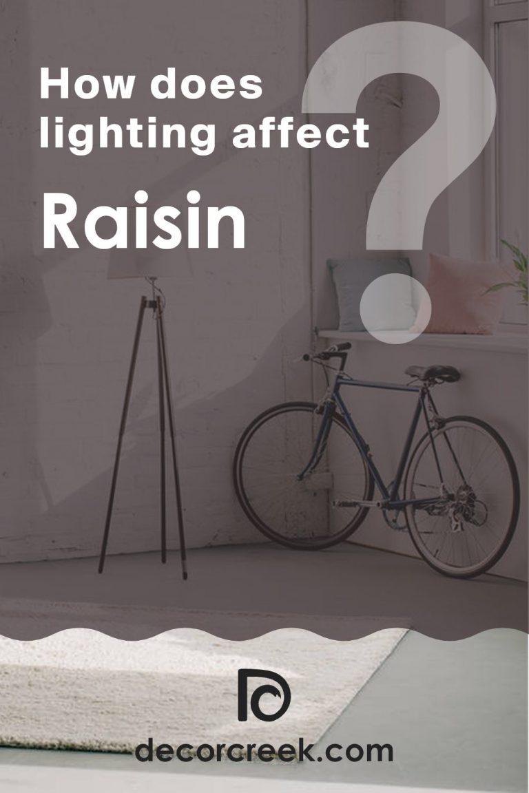 Raisin SW 7630 Paint Color by Sherwin Williams - DecorCreek