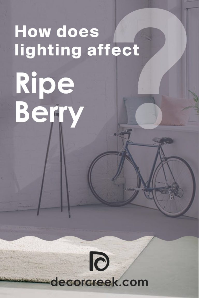 Ripe Berry SW 9689 Paint Color by Sherwin Williams - DecorCreek