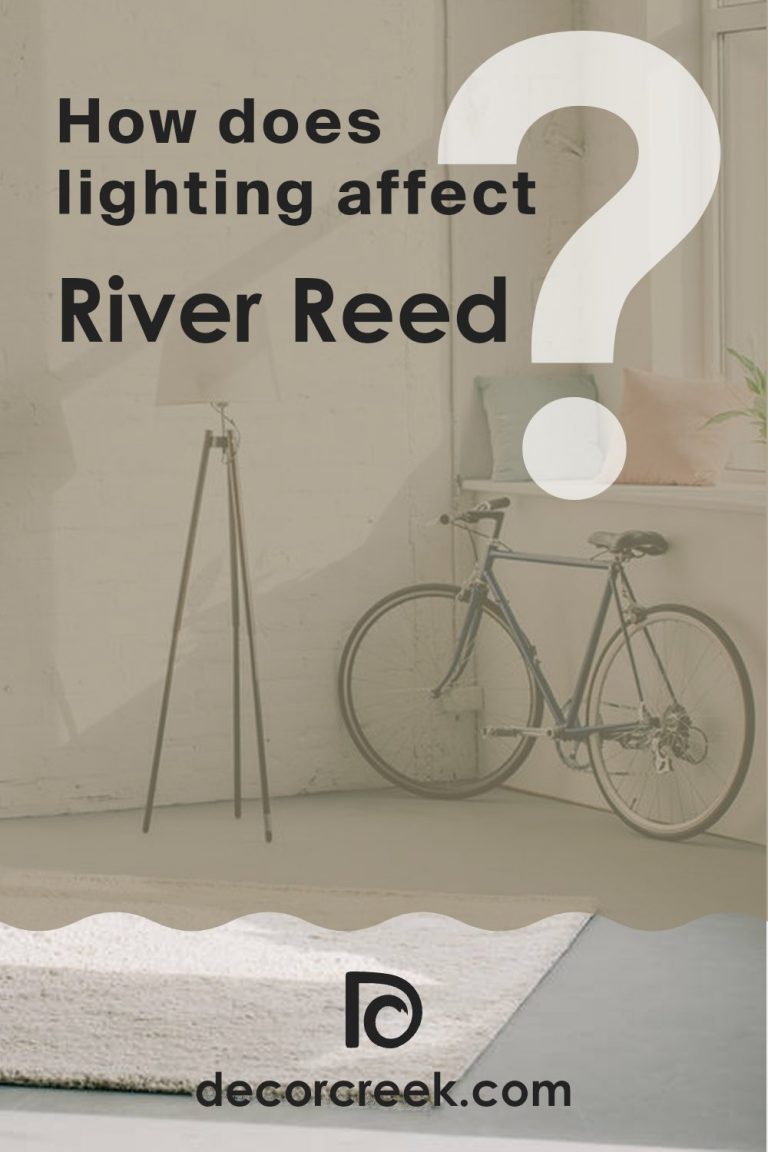 River Reed SW 9534 Paint Color by Sherwin Williams - DecorCreek