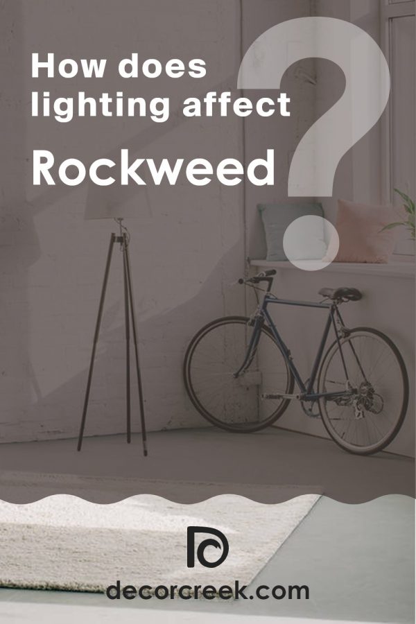 Rockweed SW 2735 Paint Color by Sherwin Williams - DecorCreek