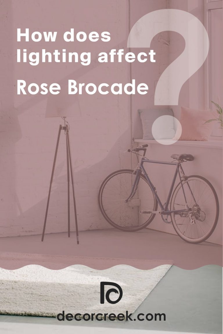 Rose Brocade SW 0004 Paint Color by Sherwin Williams - DecorCreek