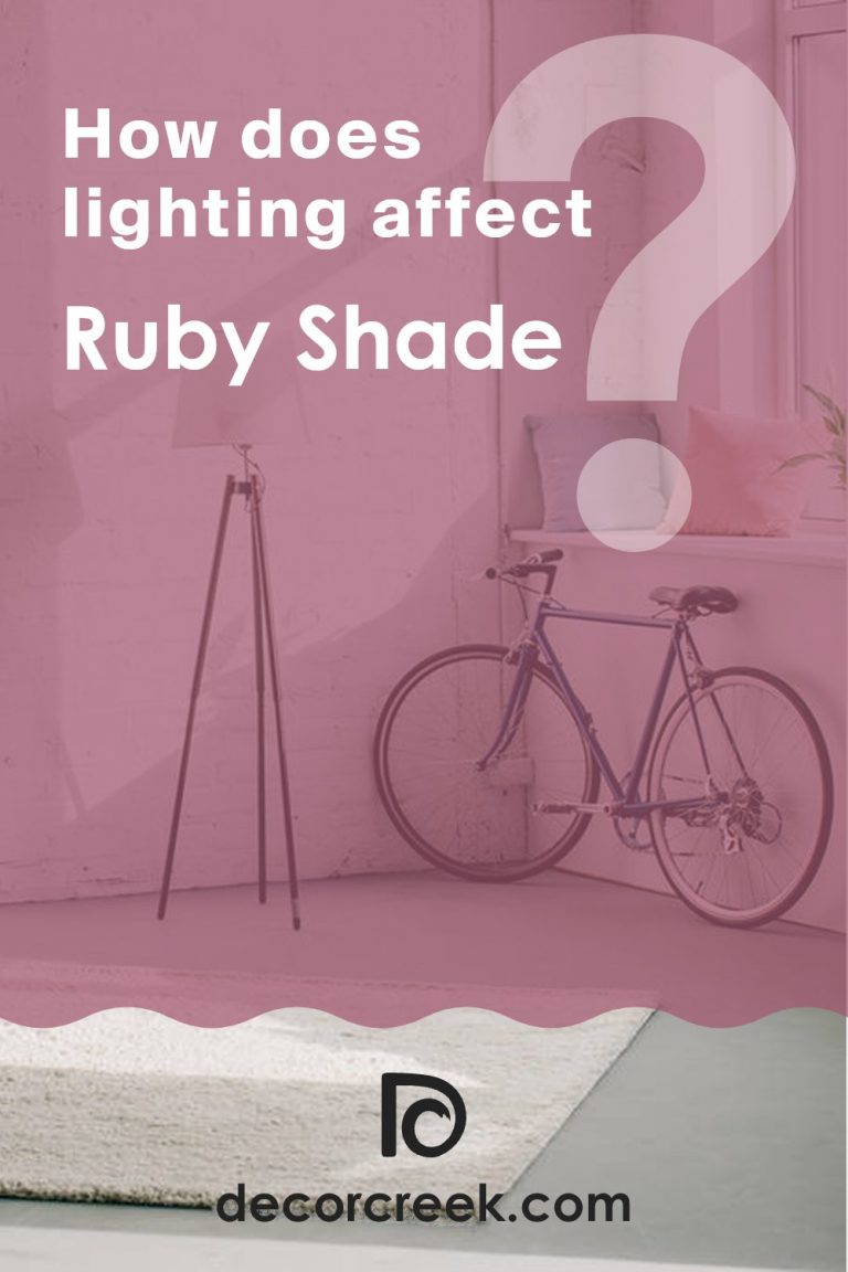 Ruby Shade SW 6572 Paint Color by Sherwin Williams - DecorCreek