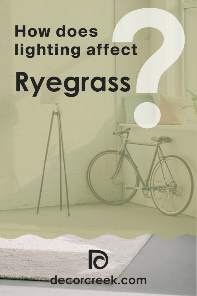 Ryegrass SW 6423 Paint Color by Sherwin Williams - DecorCreek