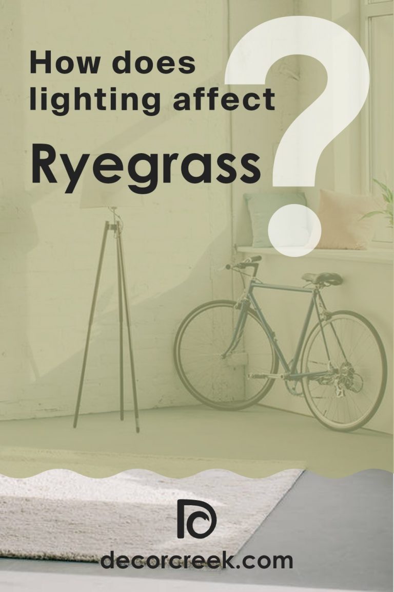 Ryegrass SW 6423 Paint Color by Sherwin Williams - DecorCreek