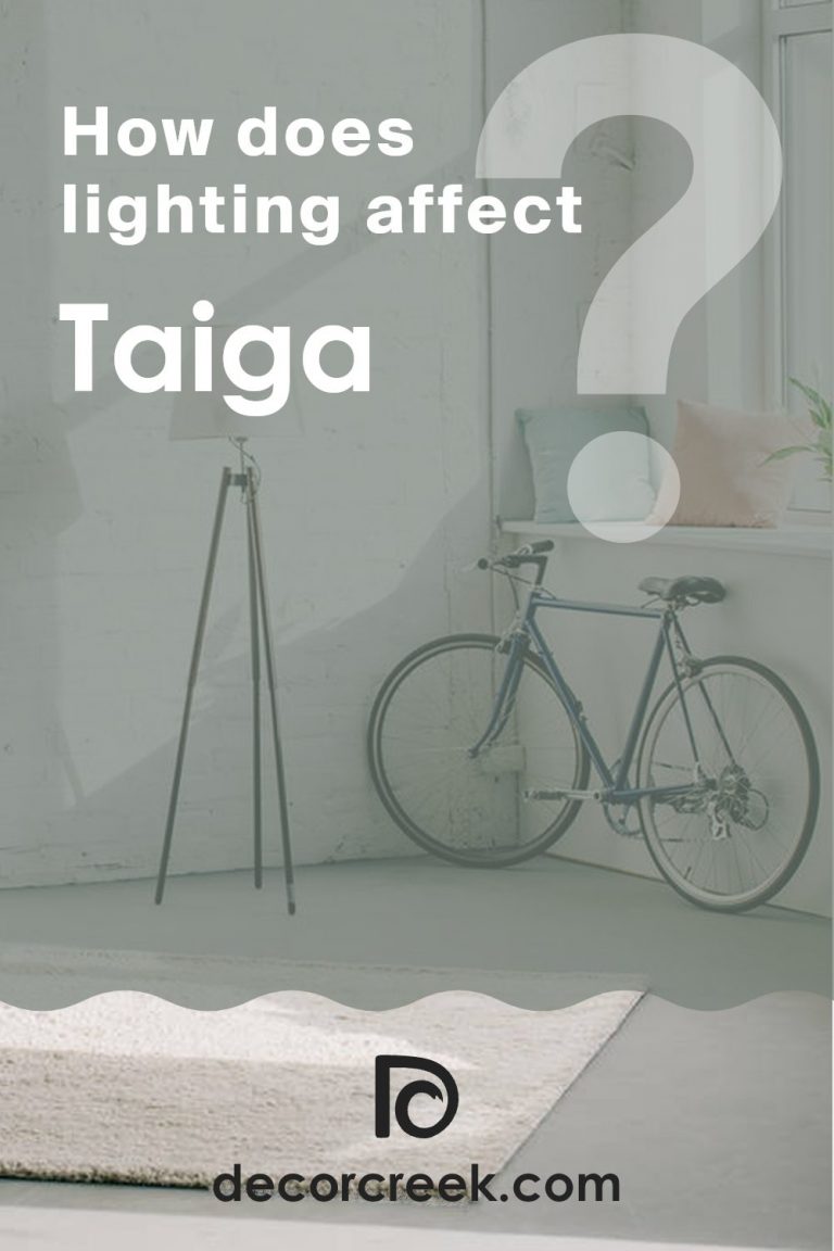 Taiga SW 9654 Paint Color by Sherwin Williams - DecorCreek