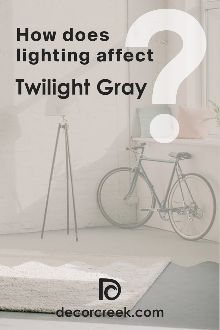 Twilight Gray SW 0054 Paint Color by Sherwin Williams - DecorCreek