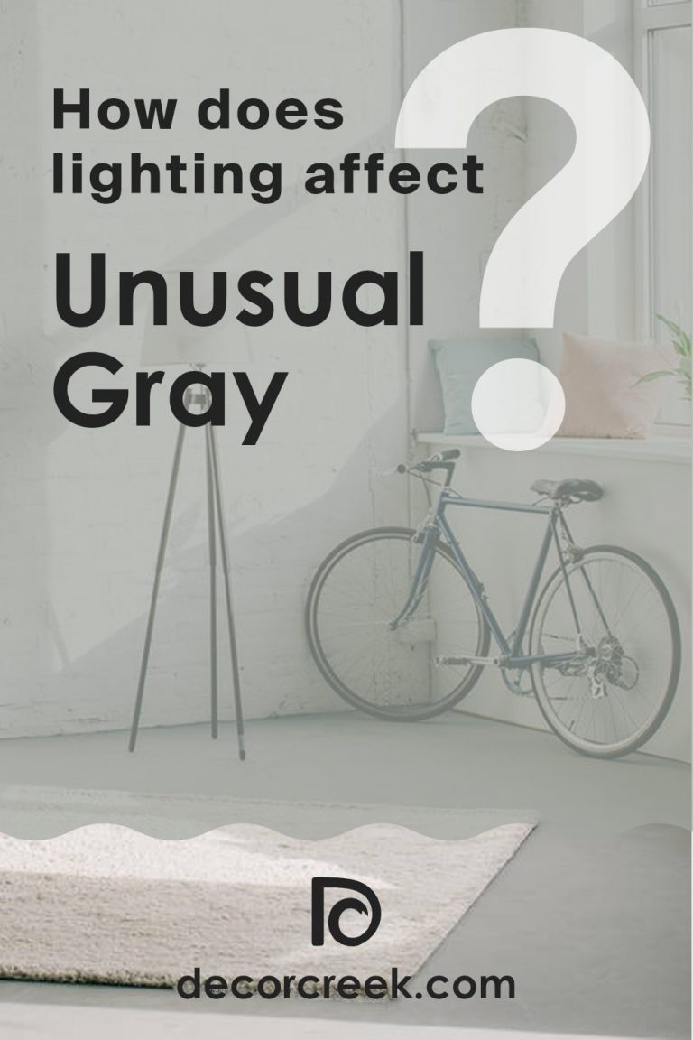 Unusual Gray SW 7059 Paint Color by Sherwin Williams - DecorCreek