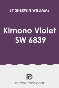 Kimono Violet SW 6839 Paint Color by Sherwin Williams - DecorCreek
