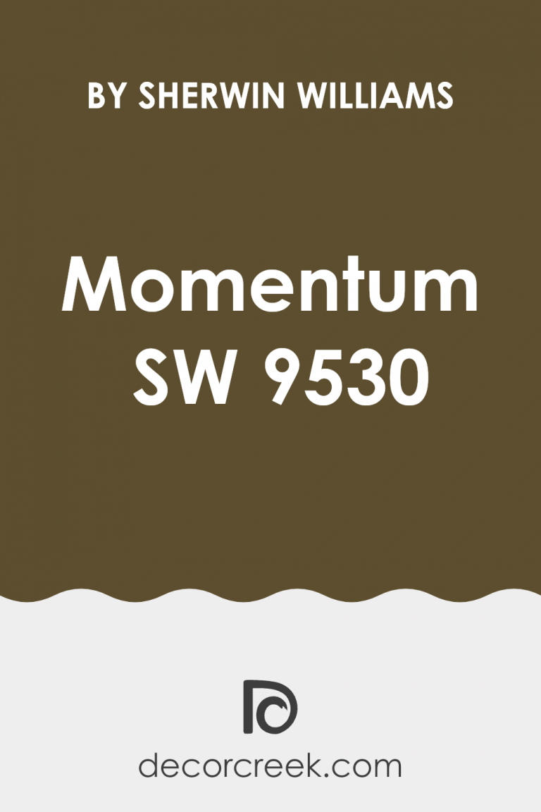 Momentum SW 9530 Paint Color by Sherwin Williams - DecorCreek