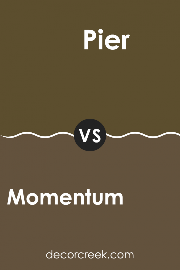 Momentum SW 9530 Paint Color by Sherwin Williams - DecorCreek