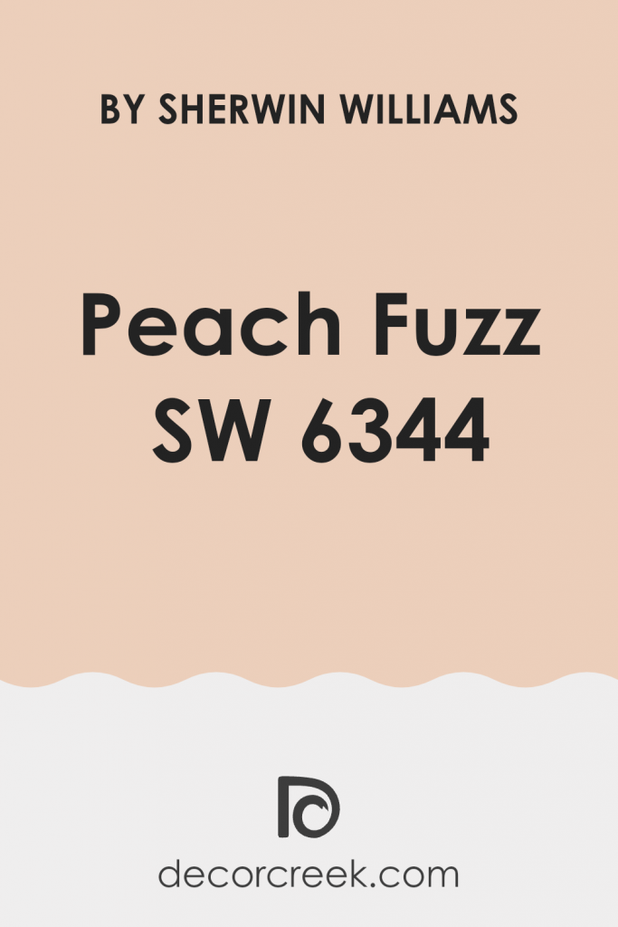 Peach Fuzz SW 6344 Paint Color by Sherwin Williams - DecorCreek