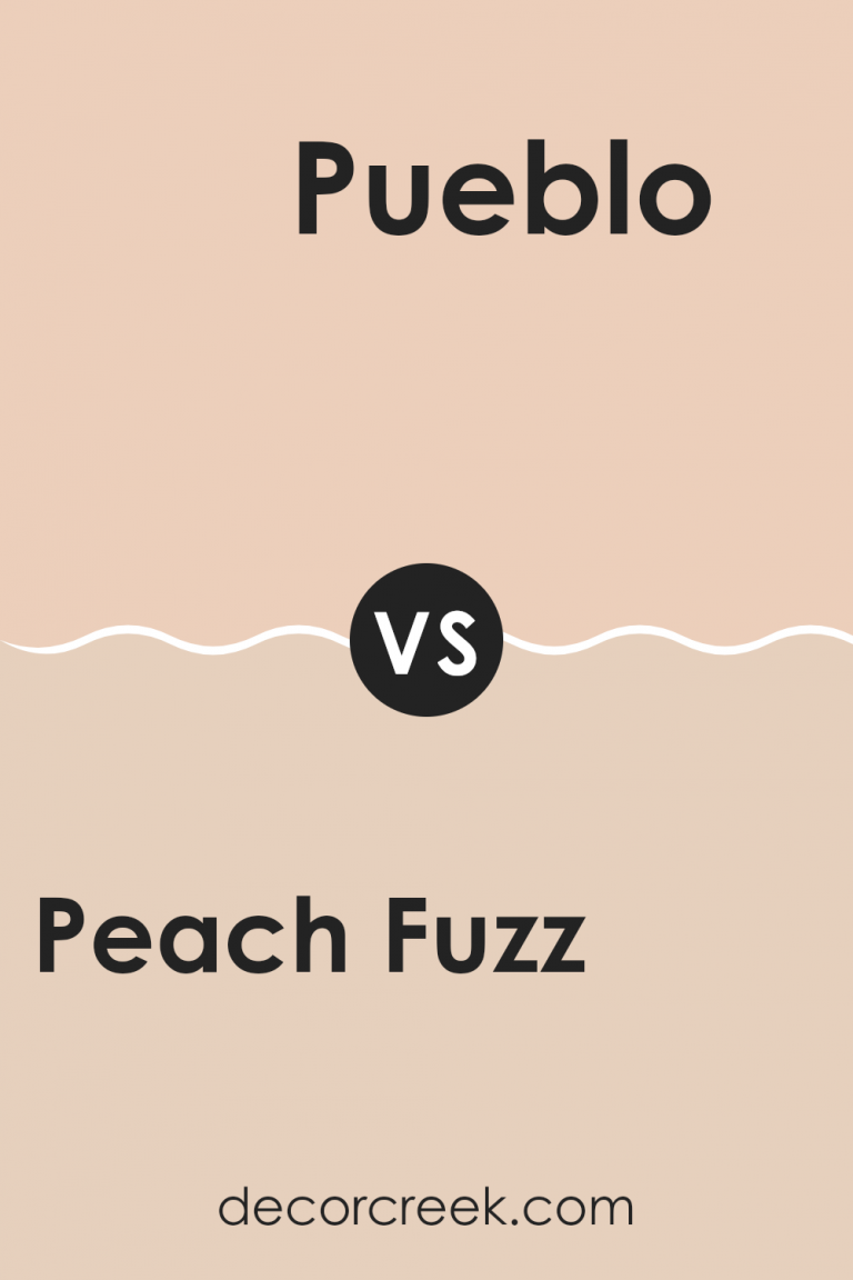 Peach Fuzz SW 6344 Paint Color by Sherwin Williams - DecorCreek