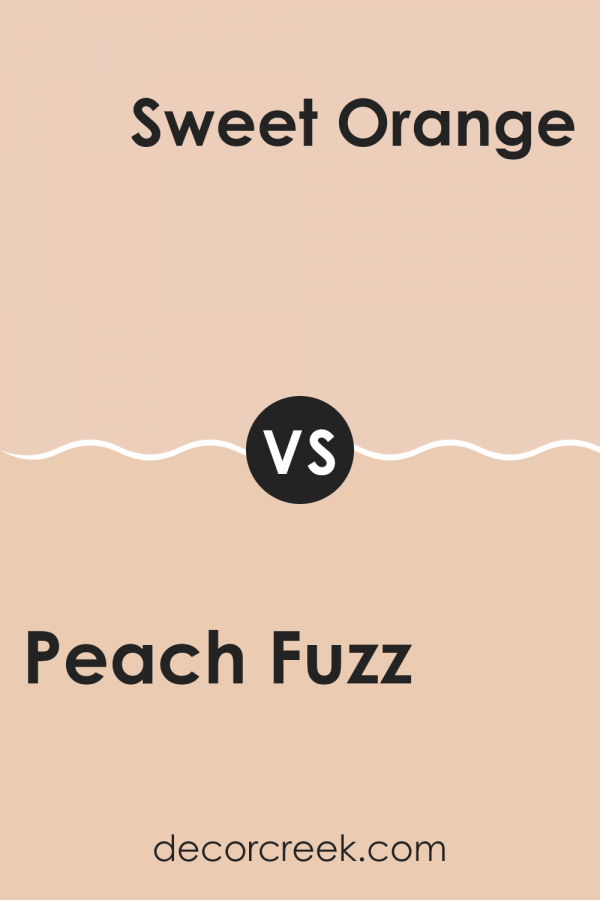 Peach Fuzz SW 6344 Paint Color by Sherwin Williams - DecorCreek
