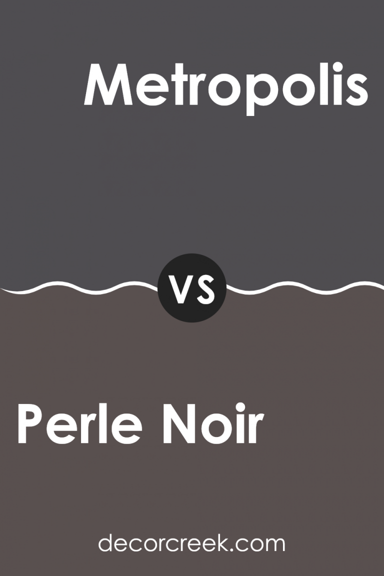 Perle Noir SW 9154 Paint Color by Sherwin Williams - DecorCreek