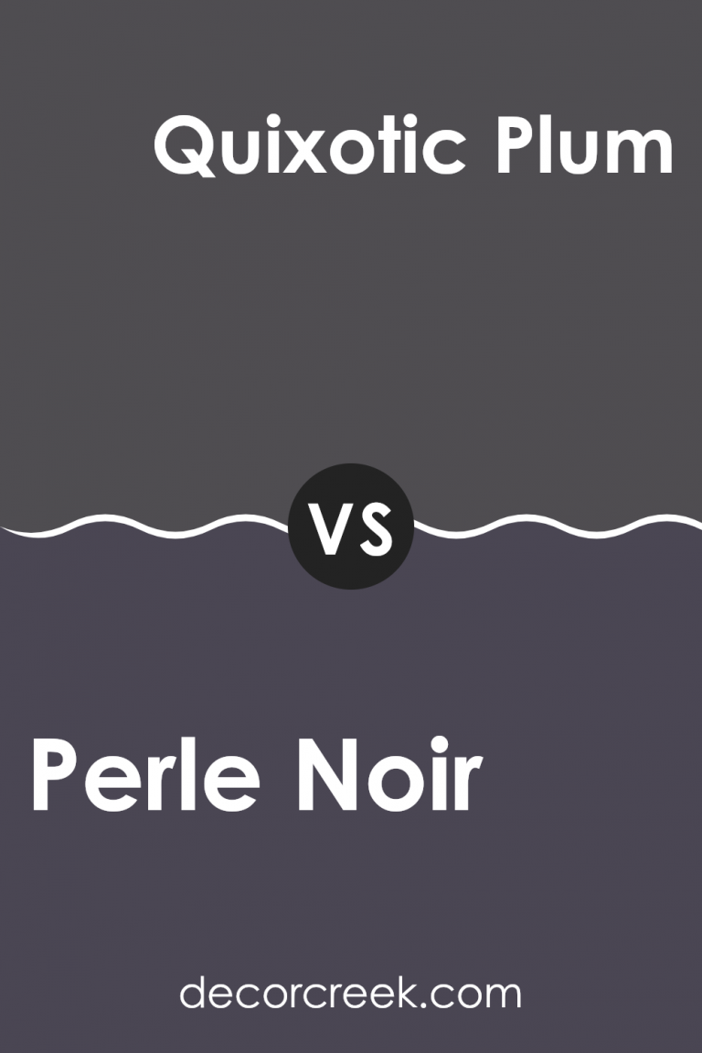 Perle Noir SW 9154 Paint Color by Sherwin Williams - DecorCreek