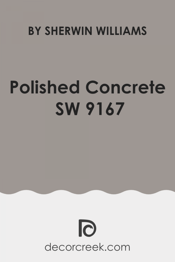 Polished Concrete SW 9167 Paint Color by Sherwin Williams - DecorCreek
