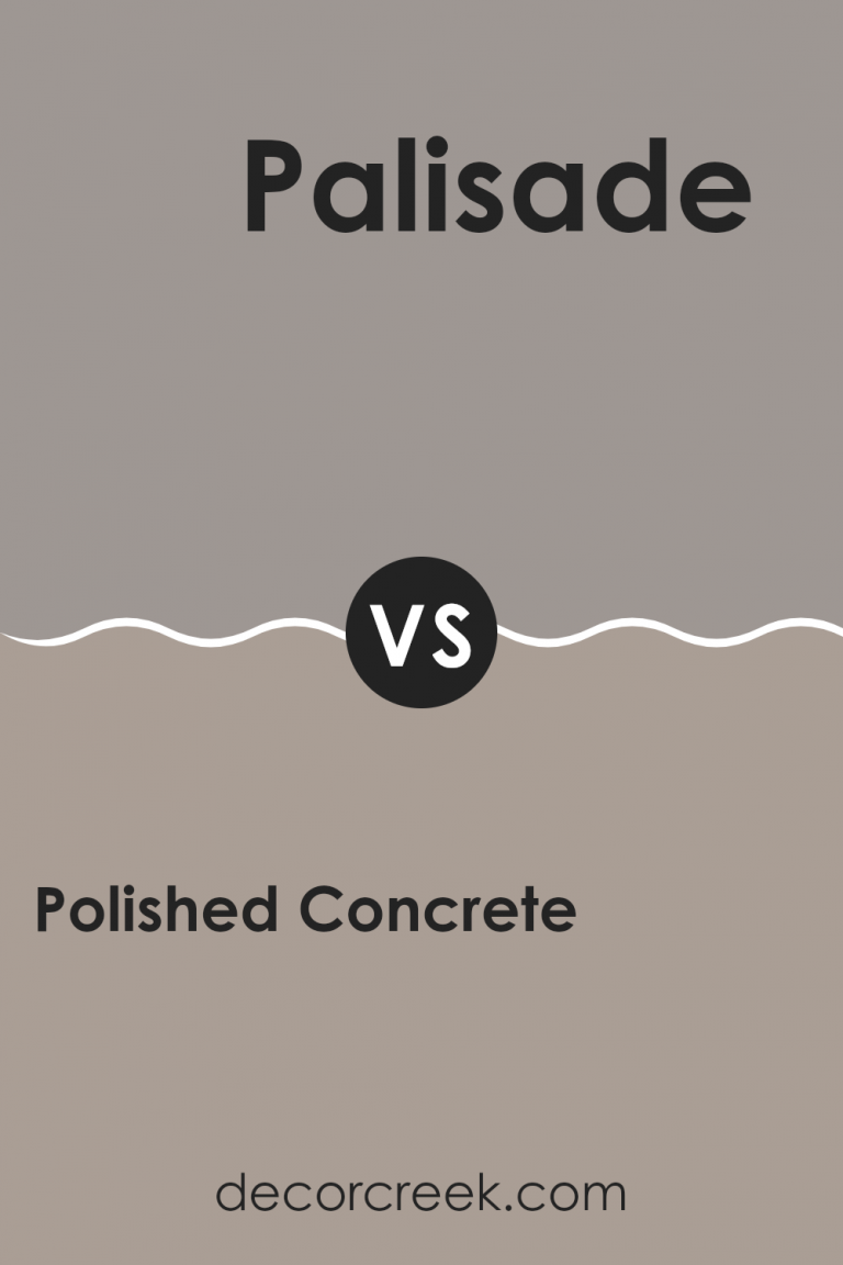 Polished Concrete SW 9167 Paint Color by Sherwin Williams - DecorCreek