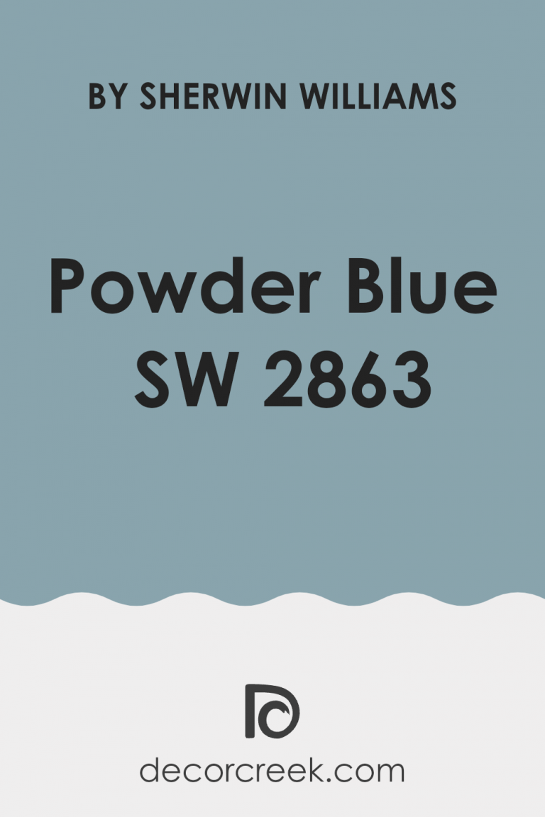 Powder Blue SW 2863 Paint Color by Sherwin Williams - DecorCreek