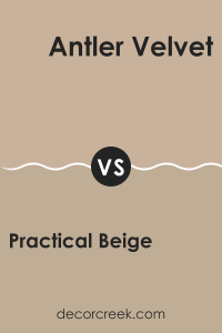 Practical Beige SW 6100 Paint Color by Sherwin Williams - DecorCreek