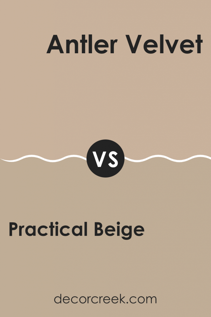 Practical Beige SW 6100 Paint Color by Sherwin Williams - DecorCreek