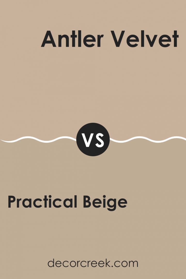 Practical Beige SW 6100 Paint Color by Sherwin Williams - DecorCreek