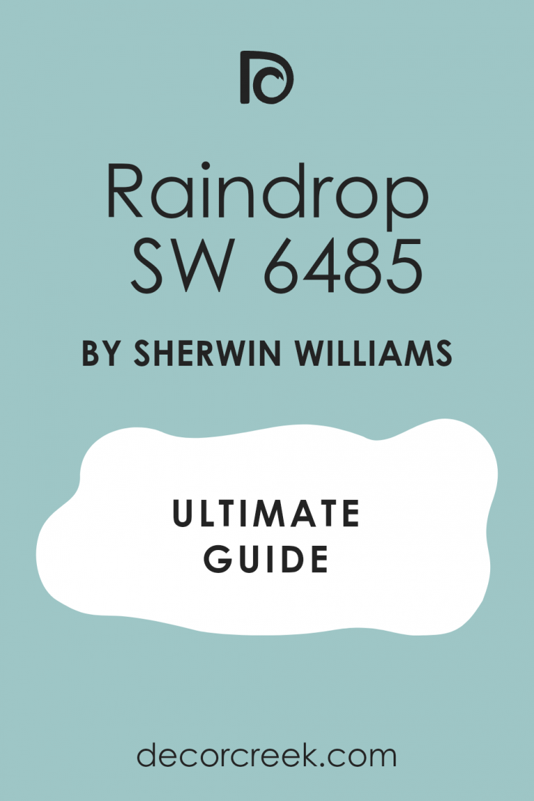 Raindrop SW 6485 Paint Color by Sherwin Williams - DecorCreek