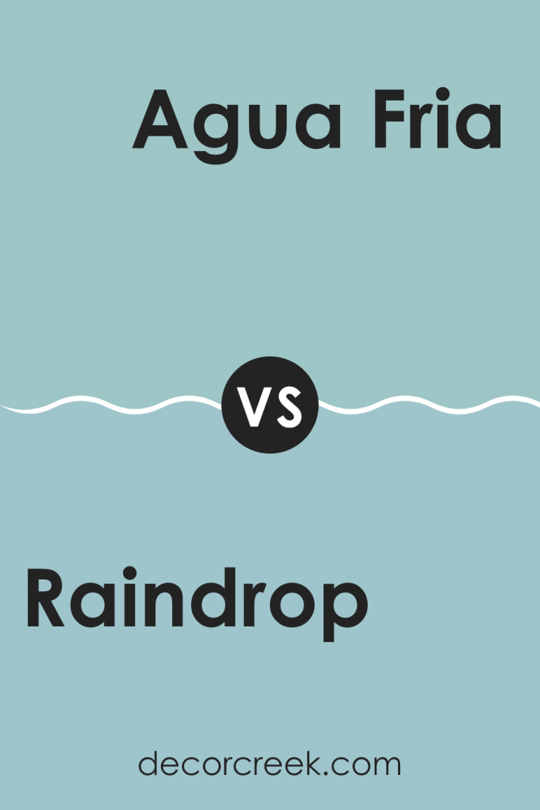 Raindrop SW 6485 Paint Color by Sherwin Williams - DecorCreek